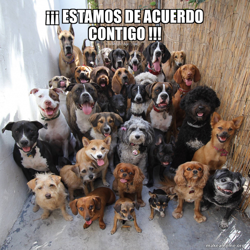 estamos de acuerdo contigo !!! Meme Generator
