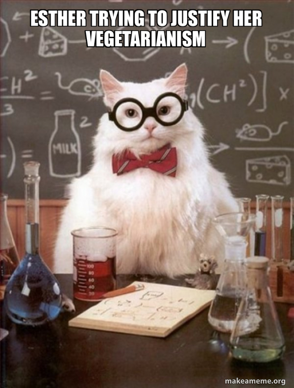 Esther trying to justify her vegetarianism - Chemistry Cat Meme Generator