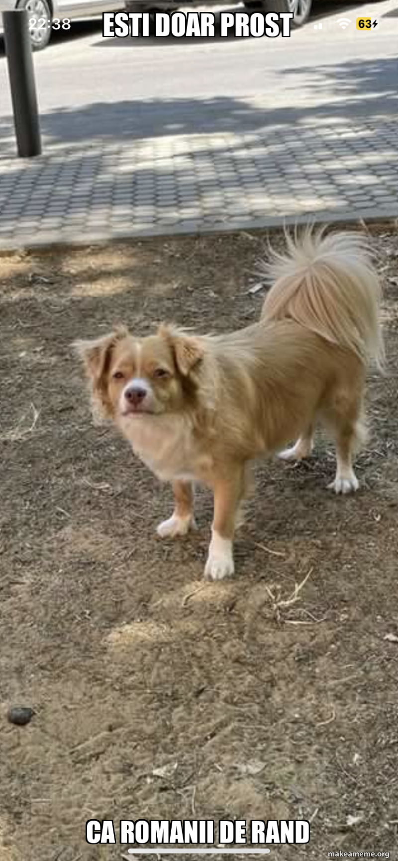 esti doar prost ca romanii de rand Meme Generator