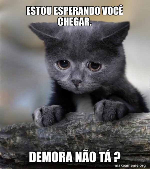 Esperando Impacientemente Meme It's Time... : R/HonkaiStarRail