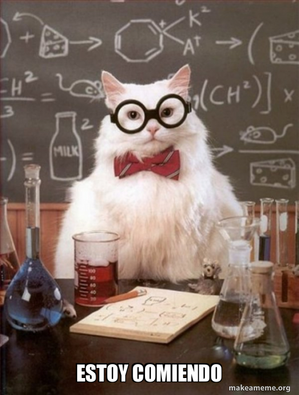 estoy comiendo - Chemistry Cat Meme Generator