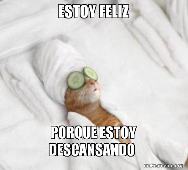 estoy feliz porque estoy descansando - Pampered Cat Meme Meme Generator