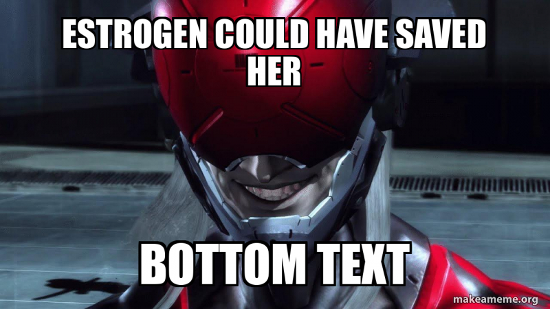 Estrogen could have saved her Bottom text Meme Generator