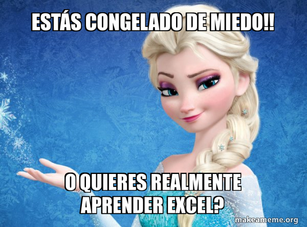 Estás congelado de miedo!! O quieres realmente aprender EXCEL? - Elsa ...