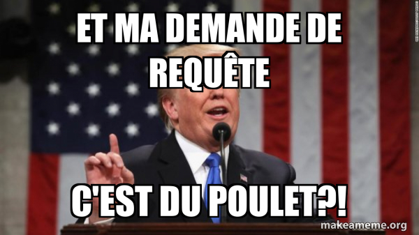et ma demande de requête c'est du poulet?! - Donald Trump Meme Generator