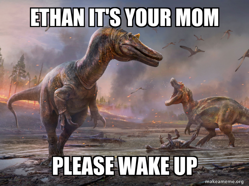 Ethan IT's your mom Please wake up Meme Generator