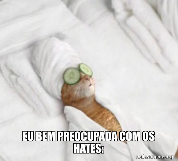 eu bem preocupada com os hates: - Pampered Cat Meme Meme Generator