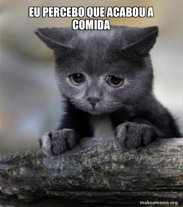eu percebo que acabou a comida - Confession Cat Meme Generator