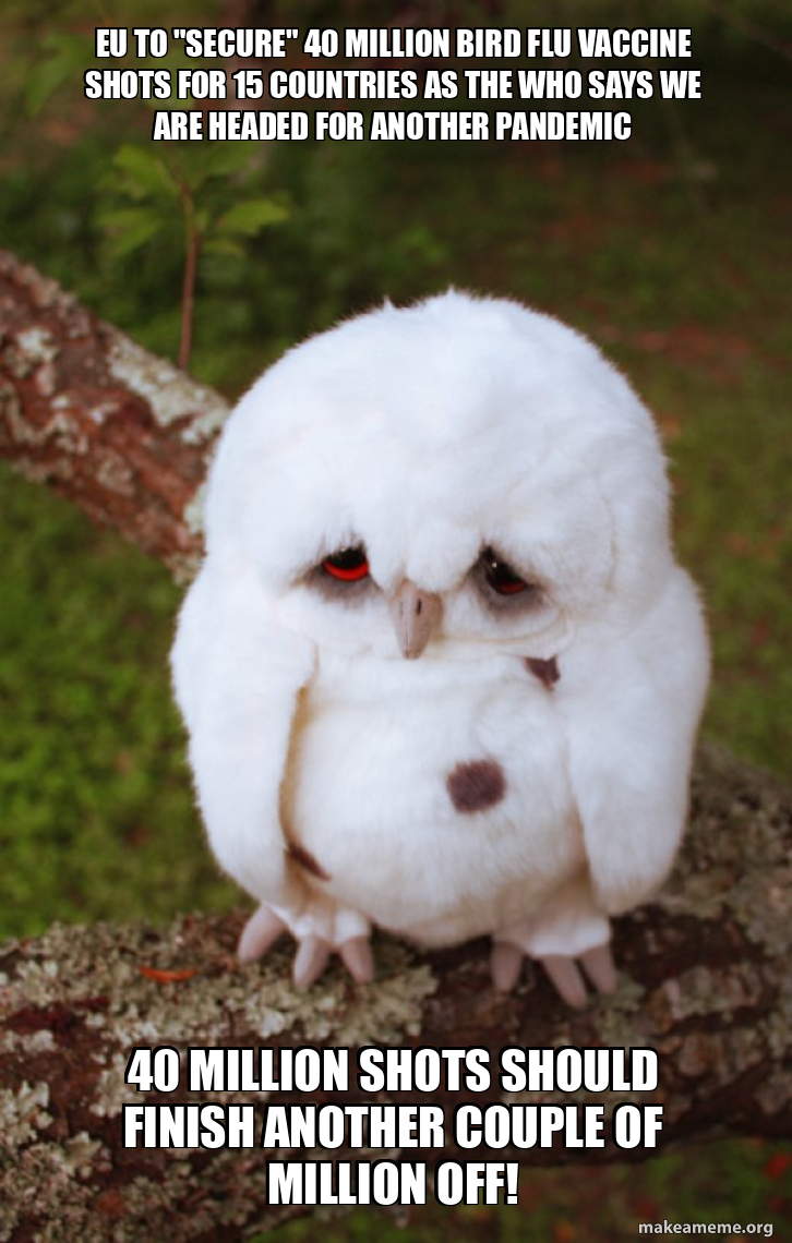 Funny Flu Shot Memes 7 Flu Memes To Make You Laugh | Life