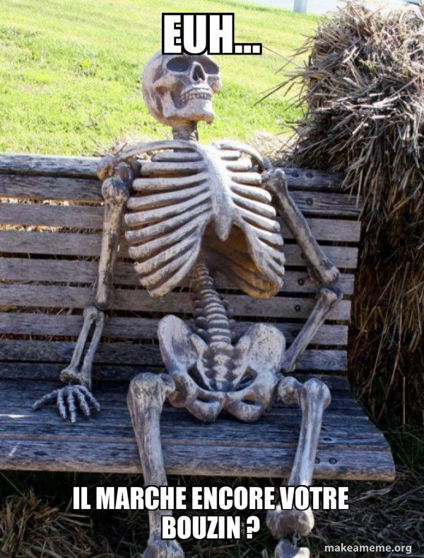 Euh... il marche encore votre bouzin ? - Waiting Skeleton Meme Generator