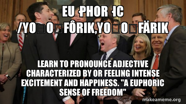 euÂ·phorÂ·ic /yoÍžoËˆfÃ´rik,yoÍžoËˆfÃ¤rik Learn to pronounce adjective ...