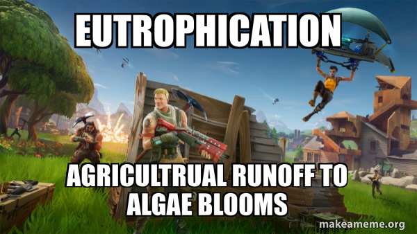 Eutrophication agricultrual runoff to algae blooms - Fortnite Battle ...