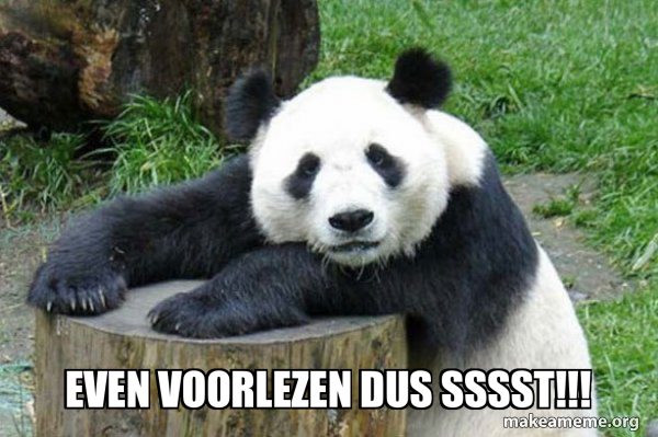 even voorlezen dus sssst!!! - Confession Panda Meme Generator