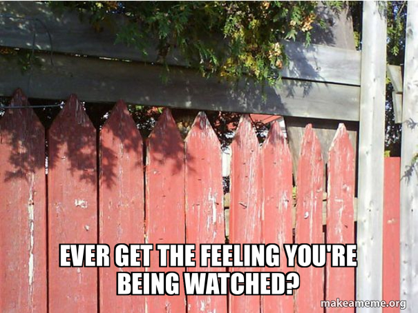 Ever get the feeling you're being watched? Meme Generator