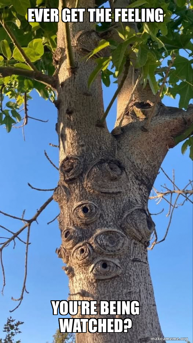 ever get the feeling you're being watched? Meme Generator