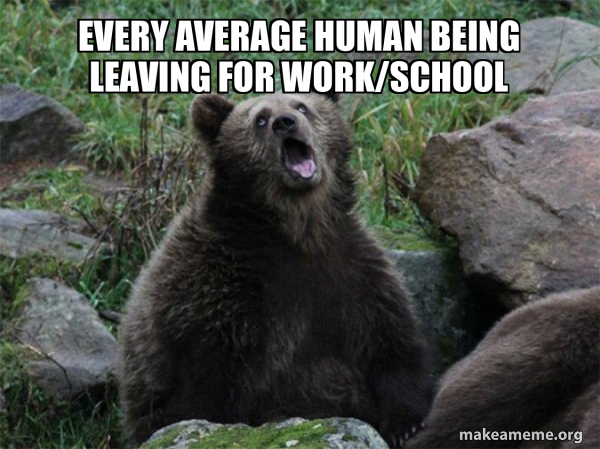 Every average human being leaving for work/school - Sarcastic Bear Meme ...