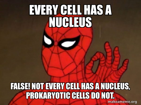 Every cell has a nucleus False! Not every cell has a nucleus ...