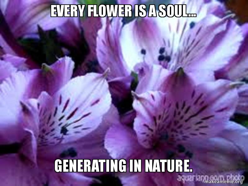 Every flower is a soul... generating in nature. - gbhjkl Meme Generator