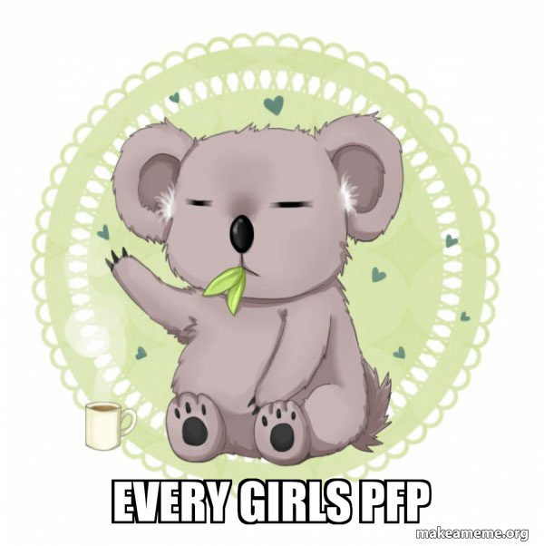 every girls pfp - Aussie Koala doing the night shift Meme Generator