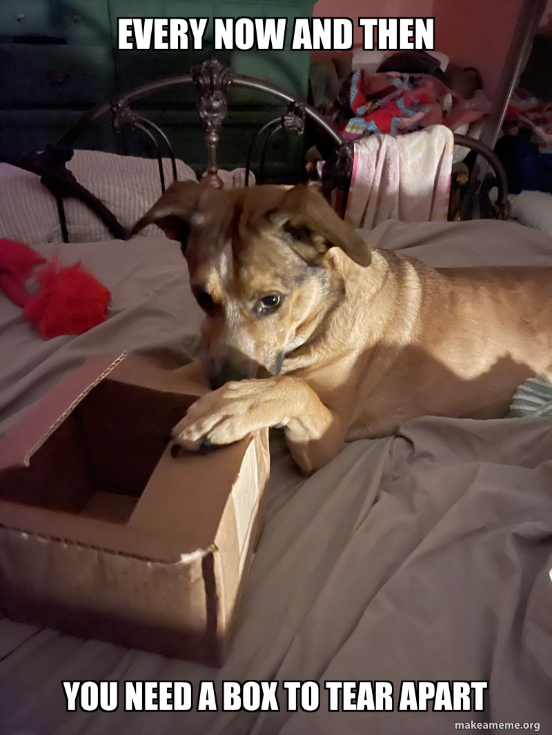 Every now and then You need a box to tear apart Meme Generator