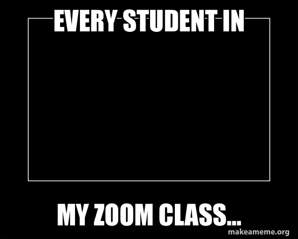 Every student in my Zoom class... - Motivational Meme Meme Generator