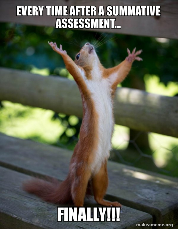 Every time after a Summative Assessment... FINALLY!!! - Happy Squirrel ...