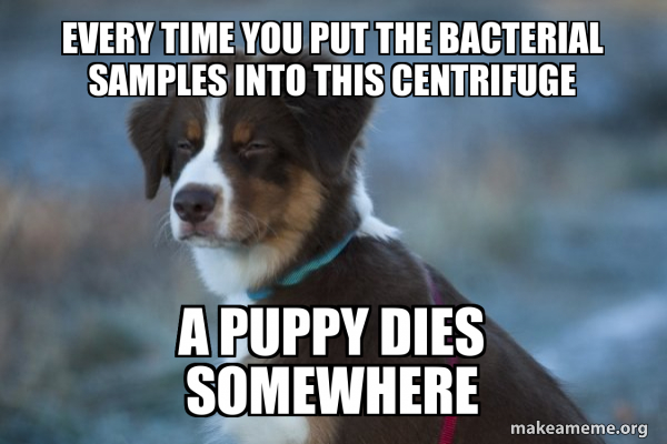 every time you put the bacterial samples into this centrifuge a puppy ...