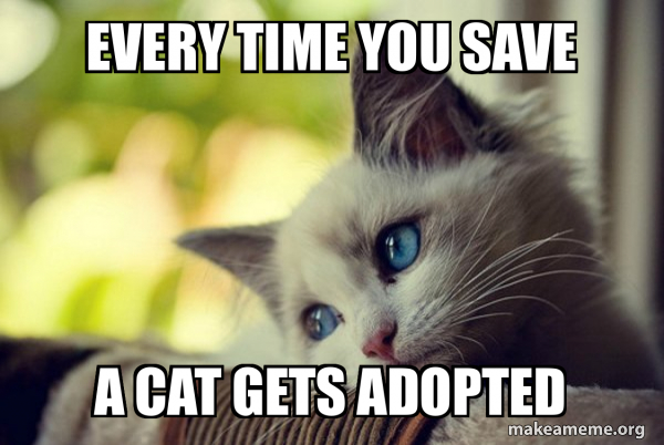 Every time you save a cat gets adopted - First World Cat Problems Meme ...