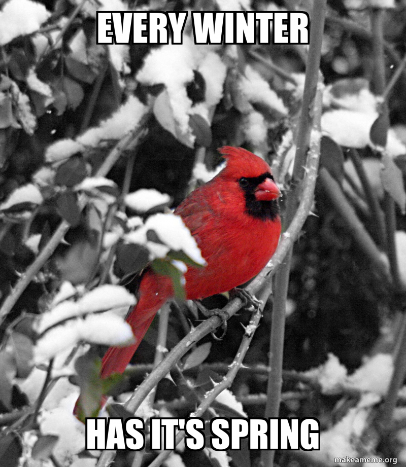 Every Winter Has it's Spring Meme Generator