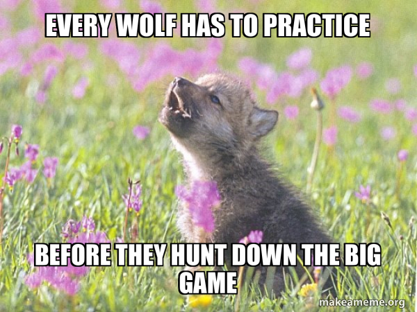 every wolf has to practice before they hunt down the big game - Baby ...