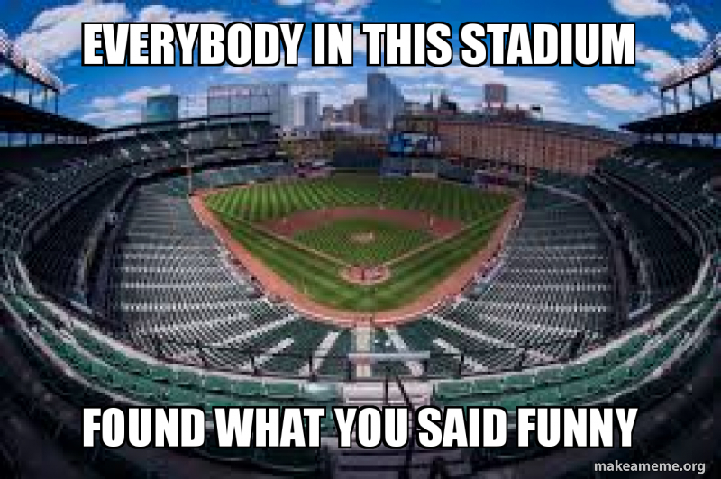 Everybody in this stadium Found what you said funny Meme Generator