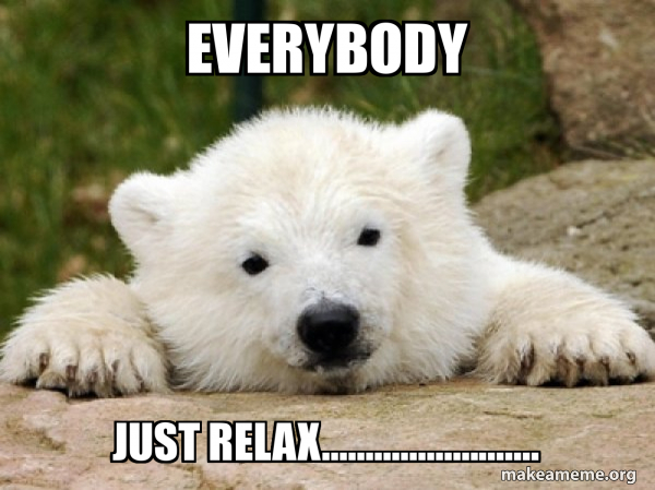 EVERYBODY JUST RELAX......................... - Popular Opinion Bear ...