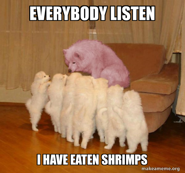 everybody listen i have eaten shrimps - Malicious Storytelling Dog Meme ...
