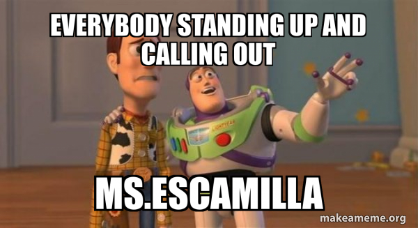 everybody standing up and calling out ms.Escamilla - Buzz and Woody ...