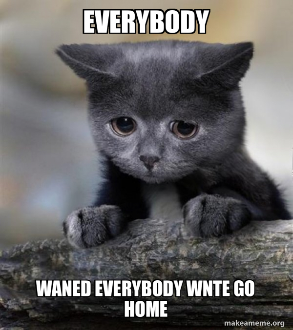 Everybody Waned everybody wnte go home - Confession Cat Meme Generator