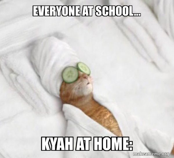 Everyone at school... Kyah at home: - Pampered Cat Meme Meme Generator