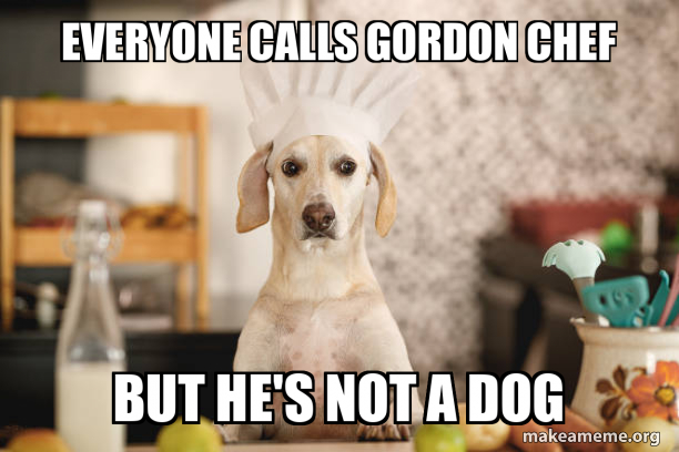 Everyone calls Gordon Chef But he's not a dog - Chef Dowgi Meme Generator