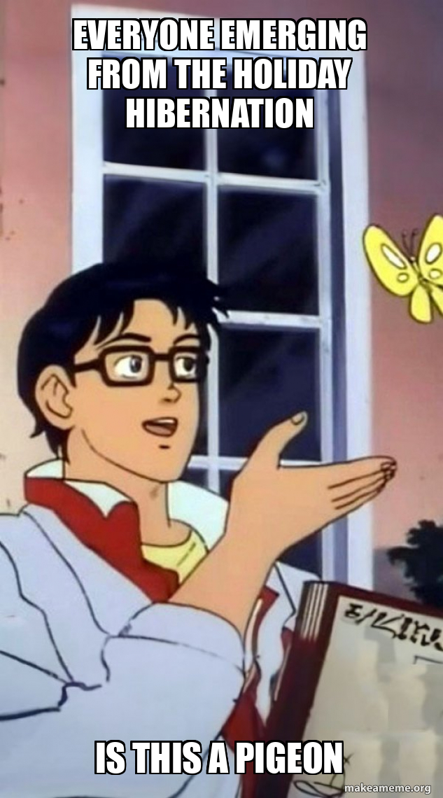 Everyone emerging from the holiday hibernation Is this a pigeon - is ...