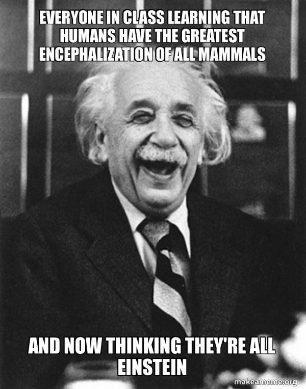 Everyone in class learning that humans have the greatest ...