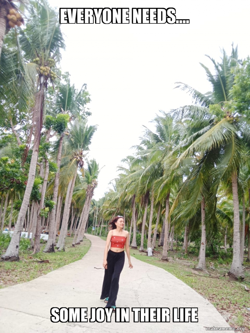 Everyone Needs.... Some Joy in their Life Meme Generator