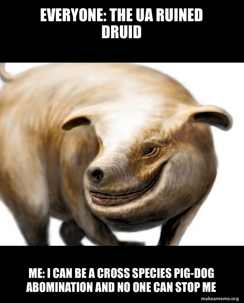 Everyone: the UA ruined Druid Me: I can be a cross species pig-dog ...