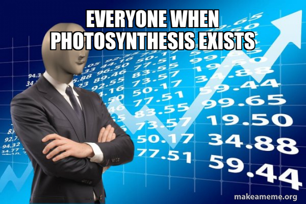 EVERYONE WHEN PHOTOSYNTHESIS EXISTS - Stonks Only Go Up Meme Generator