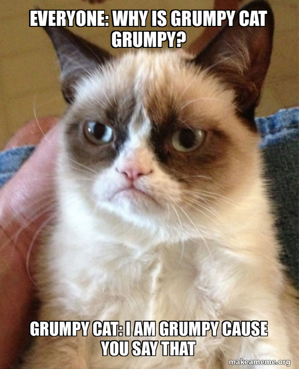 Everyone: why is grumpy cat grumpy? Grumpy cat: I am grumpy cause you ...