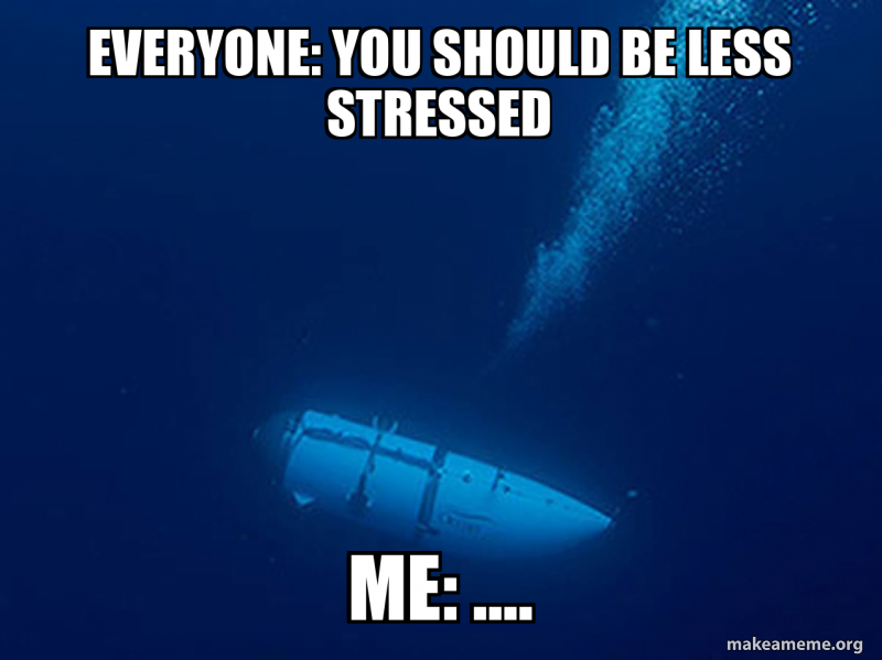 Everyone: You SHOULD be less stressed Me: …. - Stress Meme Generator