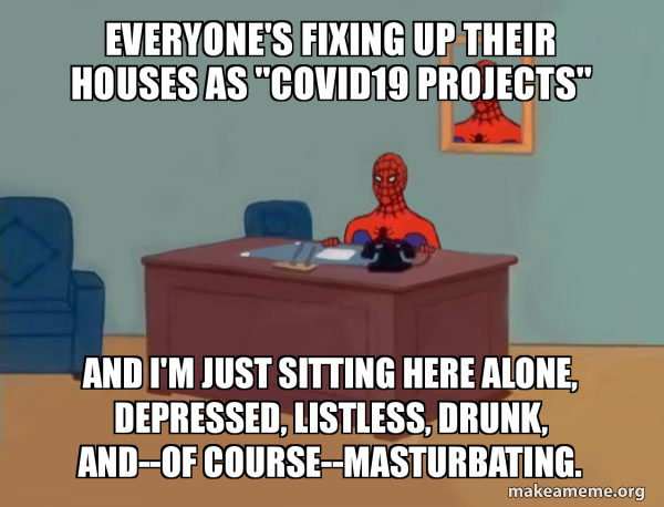 EVeryone's fixing up their houses as "COVID19 Projects" And I'm just ...
