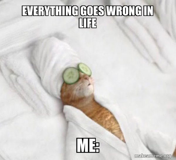 everything goes wrong in life Me: - Pampered Cat Meme Meme Generator