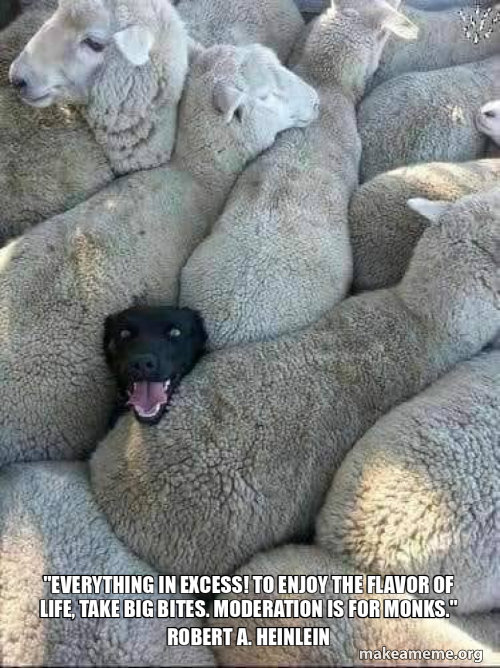 "EVERYTHING IN EXCESS! TO ENJOY THE FLAVOR OF LIFE, take big bites ...