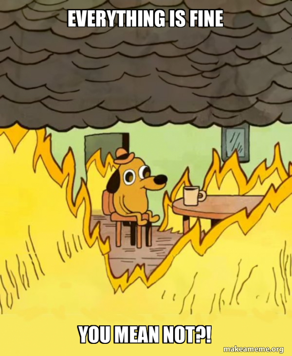 everything is fine you mean not?! - This Is Fine Meme Generator