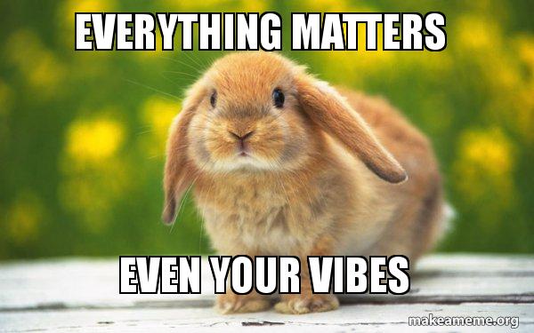 everything matters even your vibes - Regretful Rabbit Meme Generator