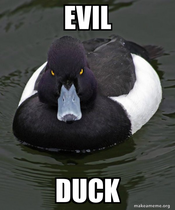 Evil Duck - Revenge Duck ( Angry Advice Duck ) Meme Generator